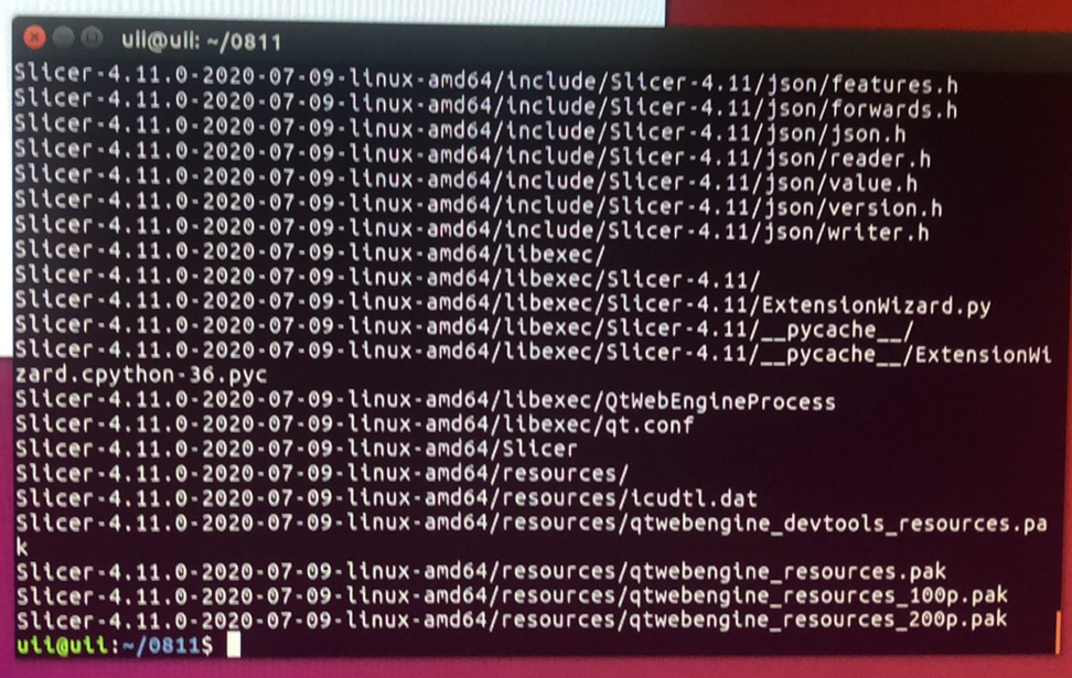 linux 安装 3D slicer_linux安装slicer-CSDN博客