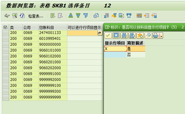 SAP中输出所有未勾选“显示行项目”的科目清单_sap skb1-CSDN博客
