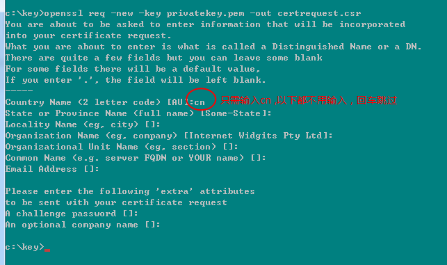 node配置本地https服务_openssl req -new -key privatekey.pem -out certrequ-CSDN博客