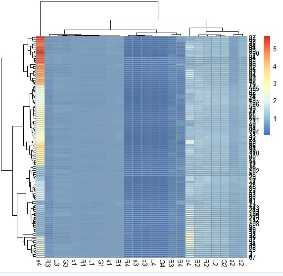 初入R语言，绘制heatmap图_r热图heatmap-CSDN博客