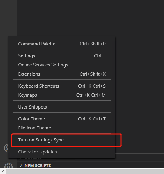 vscode 内置了 Settings Sync功能_setting sync被取代了嘛-CSDN博客