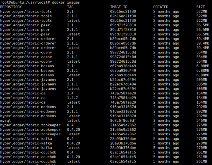 Fabric2.1自建网络手动部署，安装和测试连码_fabric2.1测试-CSDN博客