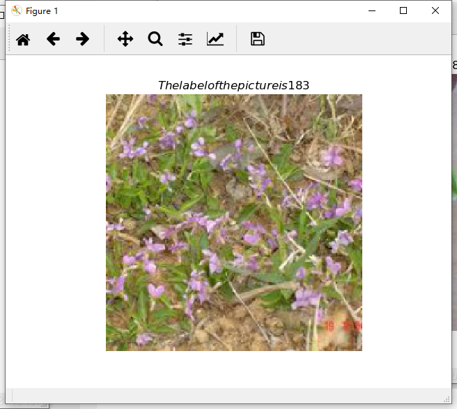 pytorch通过ImageFolder函数读取数据集（详细实例）_datasets.imagefolder得到transform以后的结果-CSDN博客