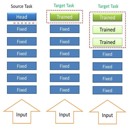 pytorch图像分类篇：6. ResNet网络结构详解与迁移学习简介_resnet简化图-CSDN博客