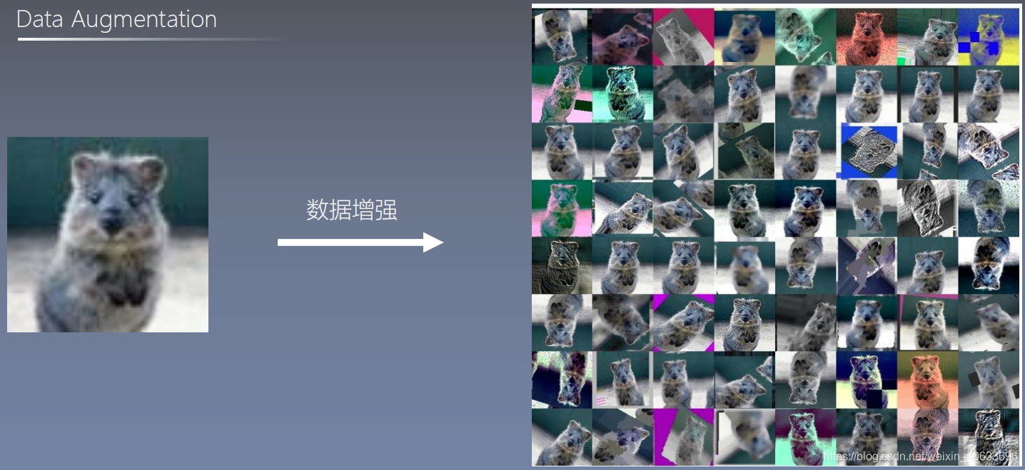 【pytorch】23 Transforms图像增强一 Csdn博客