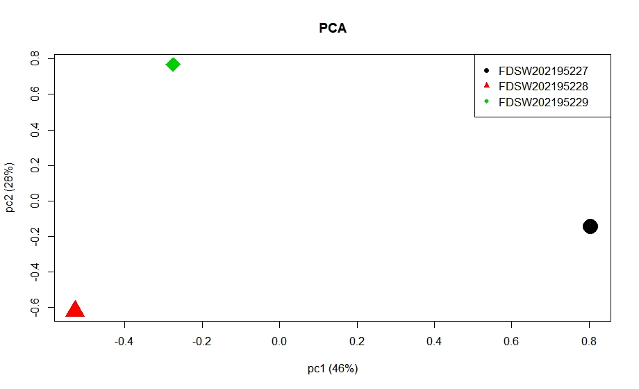 使用SNP数据计算IBD、PCA、系统树鉴别亲缘关系_系统发育树怎么看亲缘关系-CSDN博客