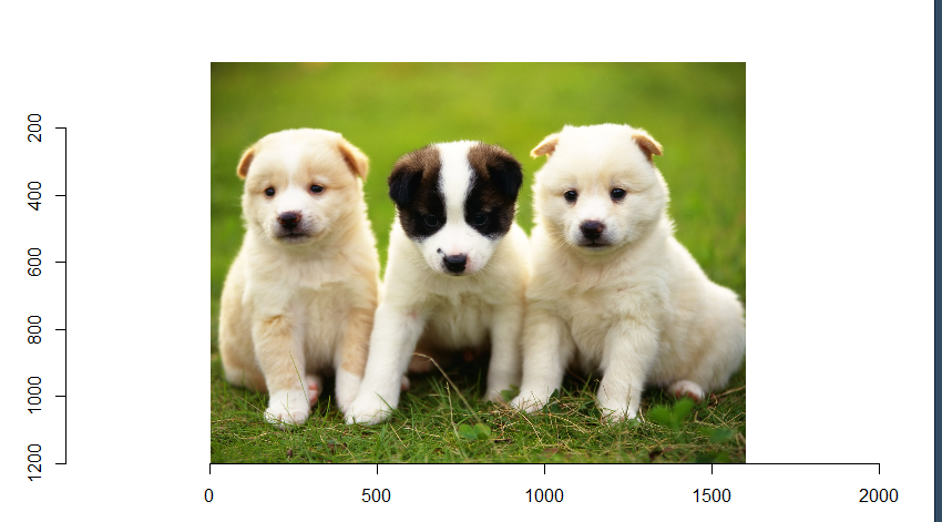 R语言之读取图片的方式总结_r语言读取图片-CSDN博客