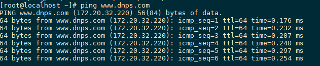 Linux下DNS服务器离线安装_bind-utils离线安装-CSDN博客