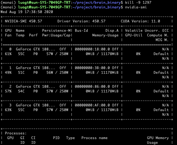 深度学习训练已经停止了，可GPU内存还在占用着，怎么办？_训练意外结束gpu为什么还在工作-CSDN博客