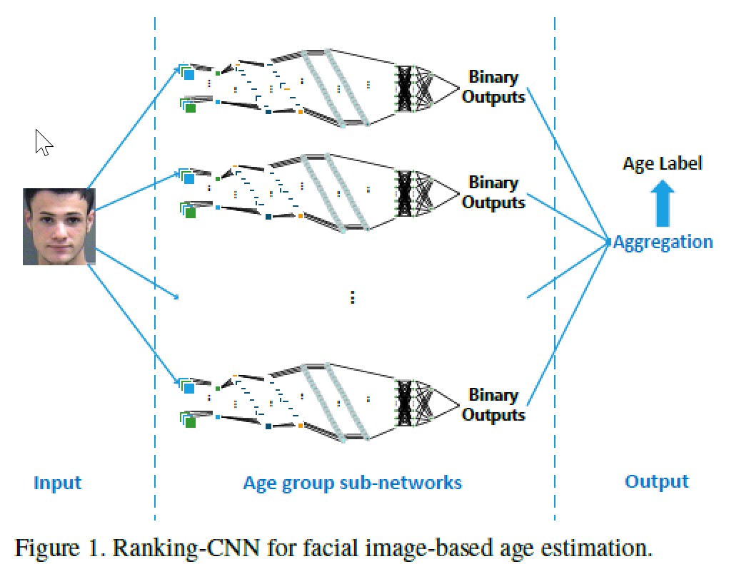 最新年龄估计综述(Deep learning approach for facial age classification: a survey ...