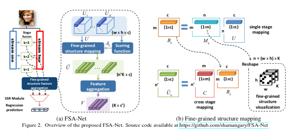 论文笔记: FSA-Net_fsa-net: learning fine-grained structure aggregati-CSDN博客