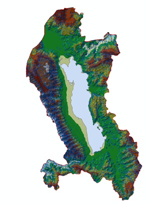 ArcGIS中的TIN与DEM数据的生成_tin转dem-CSDN博客