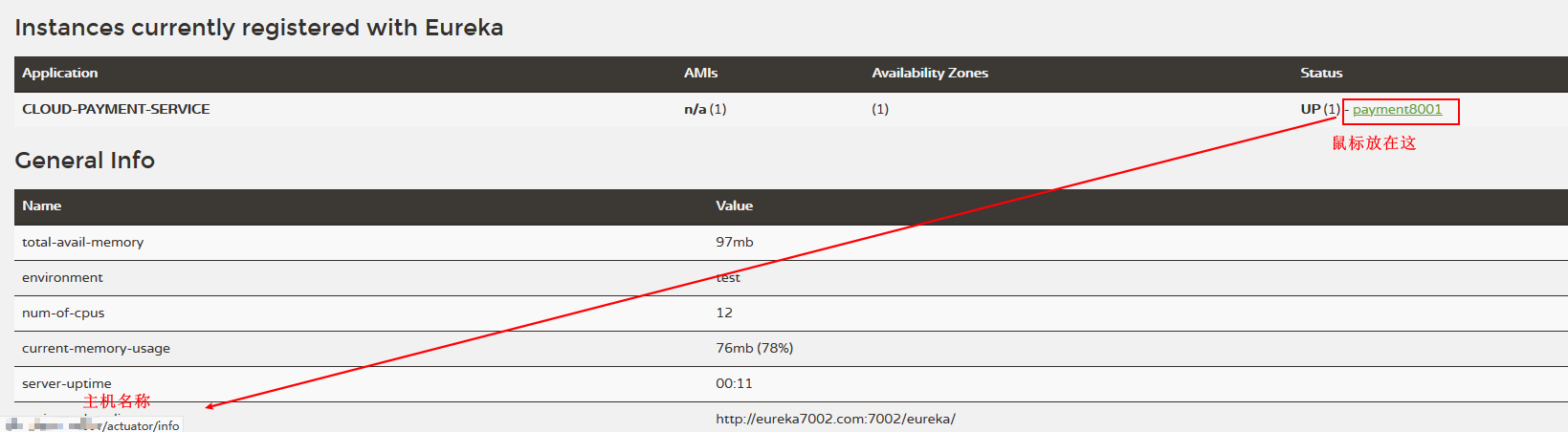 Eureka入门实战讲解，小白必备哦！_euraka教程-CSDN博客