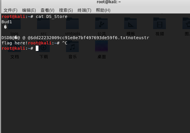 ctfhub技能树—信息泄露—备份文件下载—.DS_Store_ctfhub 备份文件下载-CSDN博客