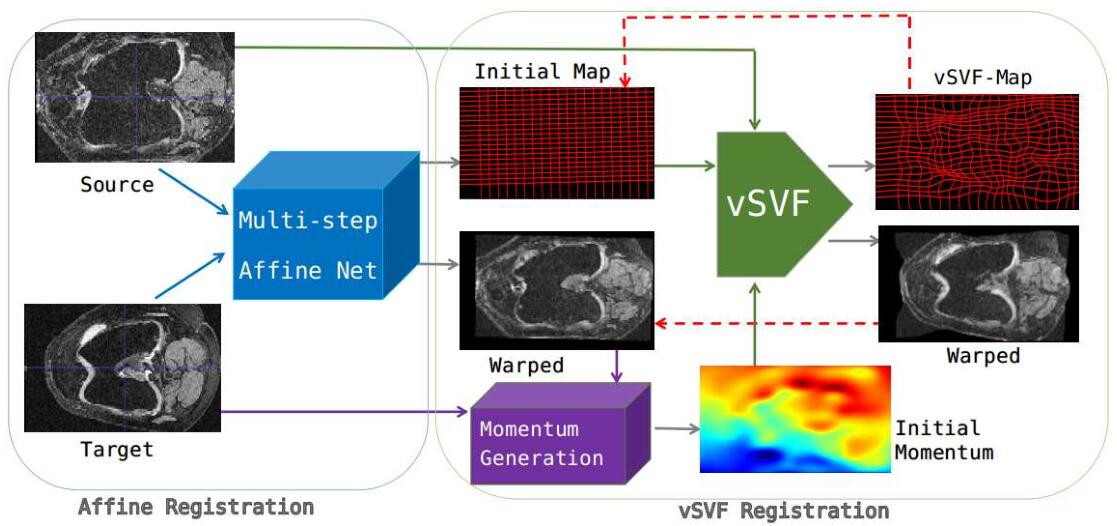 【论文笔记】AVSM：结合了仿射配准和vSVF配准的医学图像配准模型_静态速度场(vsvf)模型-CSDN博客