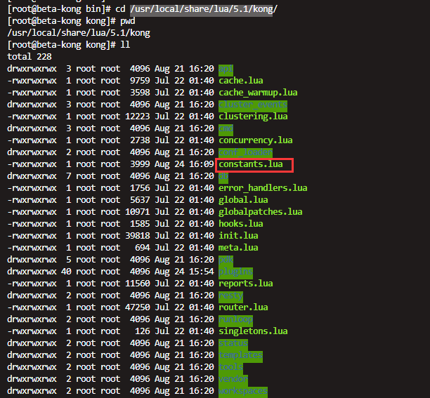网关kong自定义的插件开发攻略_kong lua handler.lua和schema.lua-CSDN博客