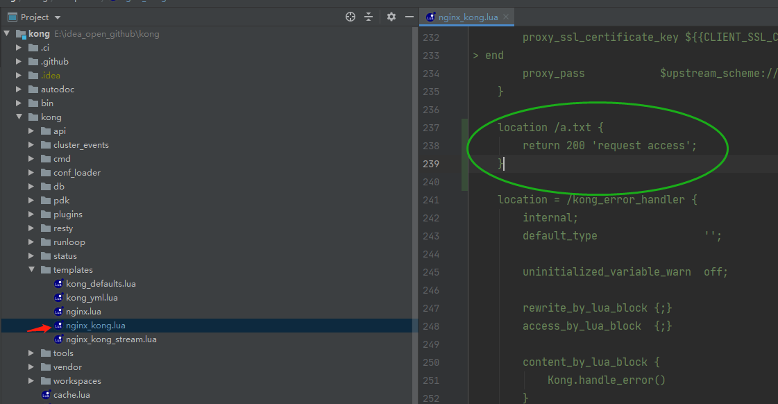 Kong静态资源配置(直接访问kong返回静态资源)_kong 静态页面 地址-CSDN博客