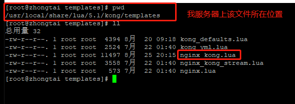 Kong静态资源配置(直接访问kong返回静态资源)_kong 静态页面 地址-CSDN博客