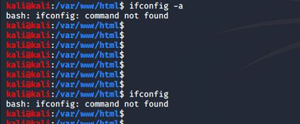 kali linux下查看IP地址及dhcp地址释放与重新获取_kali linux 释放ip-CSDN博客