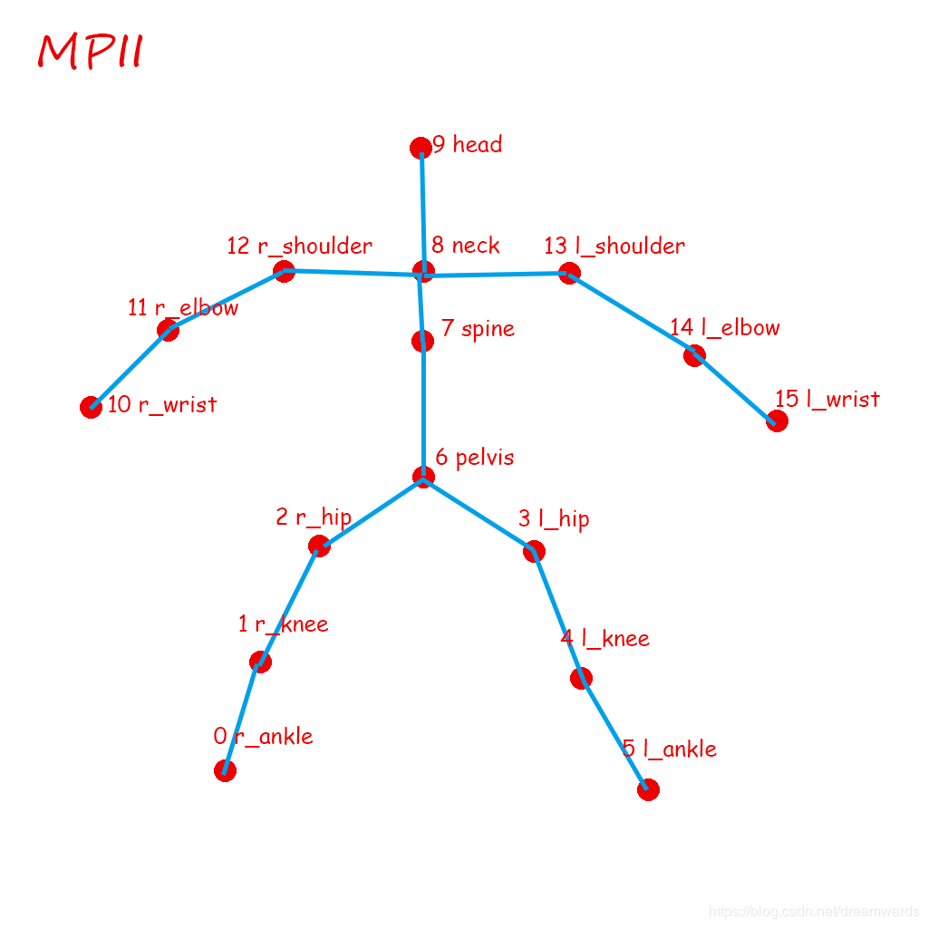 [笔记] 常见人体铰链关节点数据集中的关节点排序(SMPL,NTU,MPII,human3.6M)_mpⅱ关键点-CSDN博客