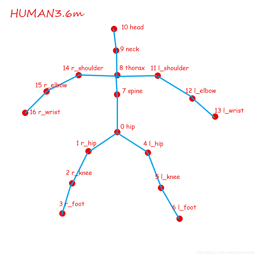 [笔记] 常见人体铰链关节点数据集中的关节点排序(SMPL,NTU,MPII,human3.6M)_mpⅱ关键点-CSDN博客