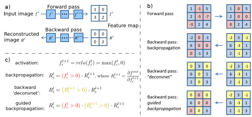 Guided Backpropagationthe Guided Backpropagation Csdn博客 