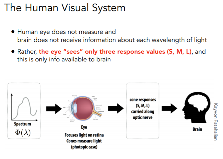 GAMES101课程学习笔记—Lec 20：Color and Perception 颜色与感知_color matching functions 1964-CSDN博客