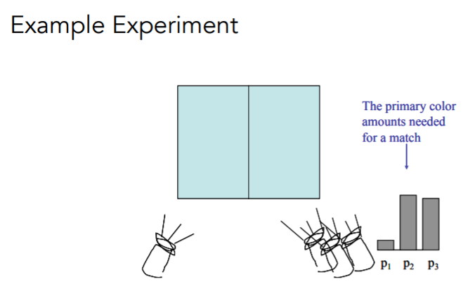 GAMES101课程学习笔记—Lec 20：Color and Perception 颜色与感知_color matching functions 1964-CSDN博客