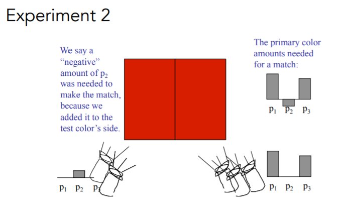GAMES101课程学习笔记—Lec 20：Color and Perception 颜色与感知_color matching functions 1964-CSDN博客