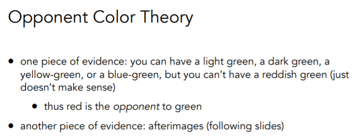 GAMES101课程学习笔记—Lec 20：Color and Perception 颜色与感知_color matching functions 1964-CSDN博客