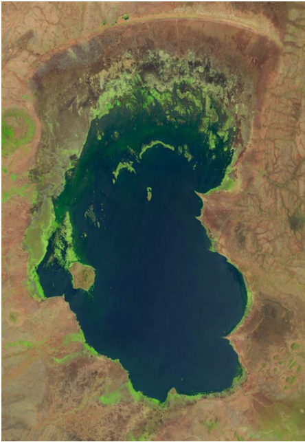 pytorch F.affine_grid F.grid_sample探究-CSDN博客