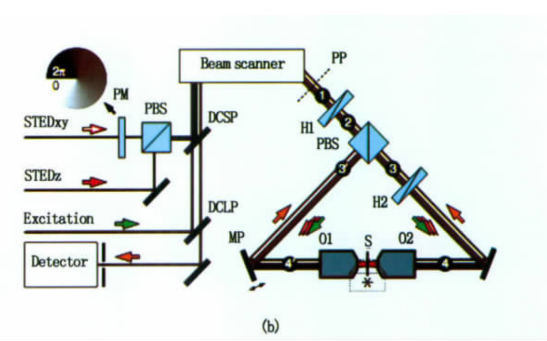 受激发射损耗显微术（一）_sted 775nm 多色成像-CSDN博客