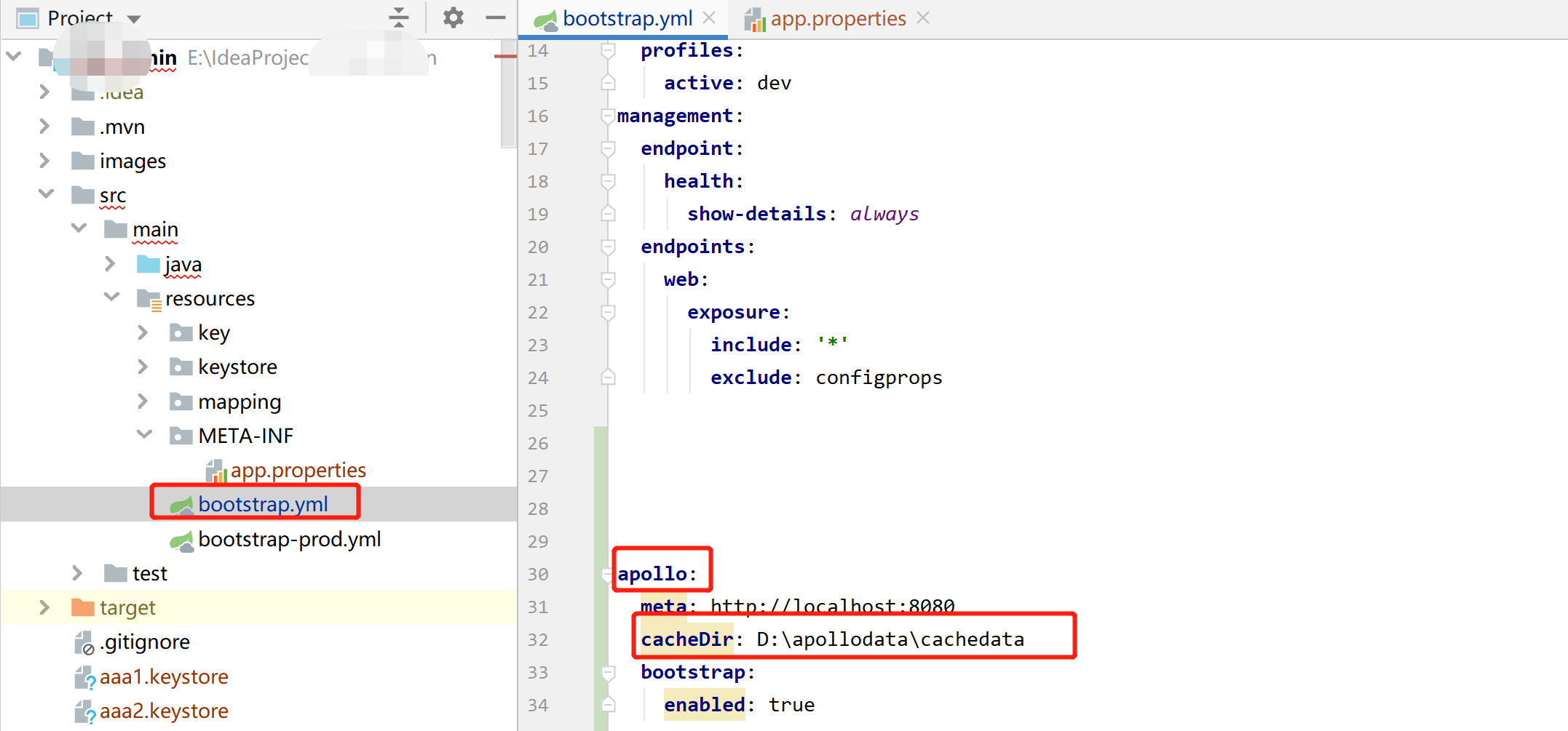 Springboot项目接入Apollo配置中心_spring boot中读取apollo配置-CSDN博客