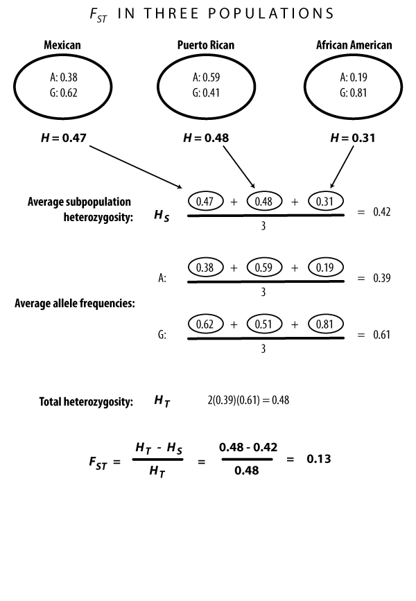 Fst的计算原理与实战_fst计算-CSDN博客