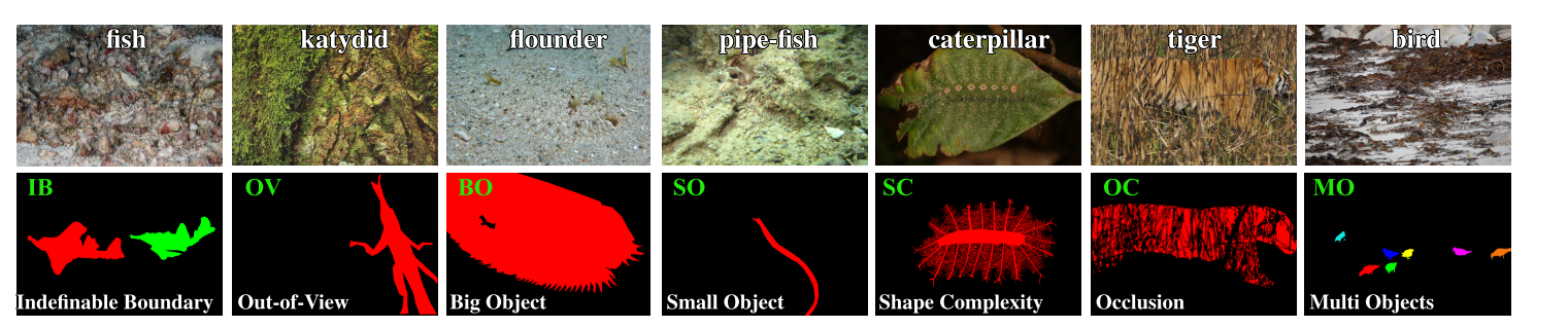 论文笔记——Camouflaged Object Detection-CSDN博客