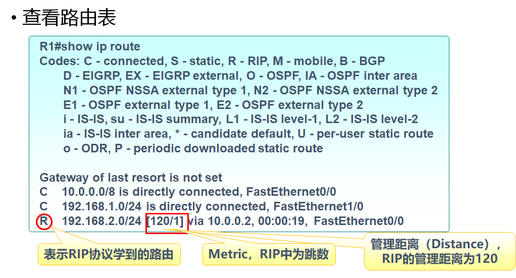 RIP协议解析 & Cisco Packet Tracer环境下RIP实验演示_cisco packet tracer过滤协议选rip-CSDN博客