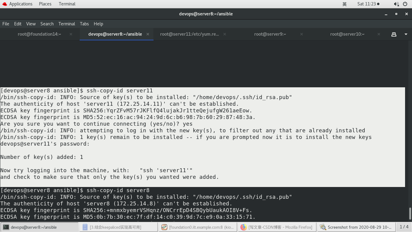 【ansible】使用keepalived+haproxy实现高可用_ansible haproxy+keepalived支持高可用-CSDN博客