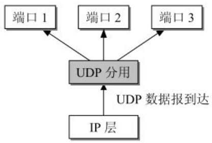 网络 UDP简介_udp线-CSDN博客