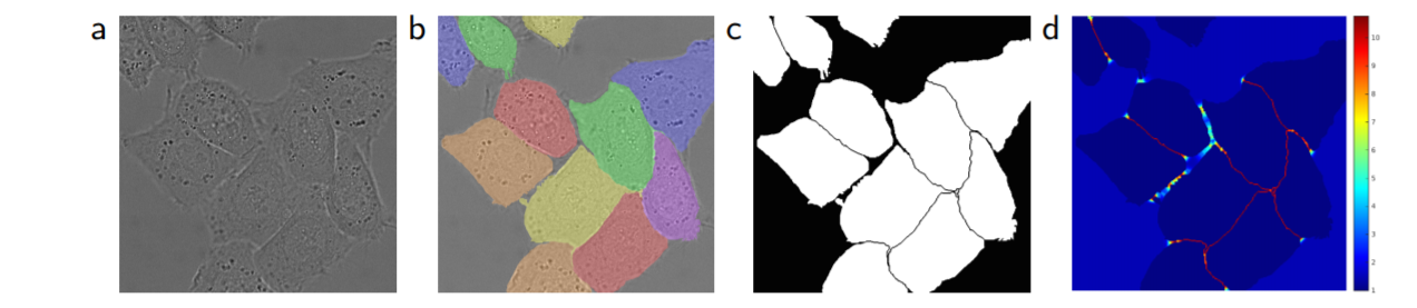 基于深度学习的语义分割之FCN、SegNet、UNet、LinkNet、PSPNet、DeepLab系列_什么是linknet网络-CSDN博客