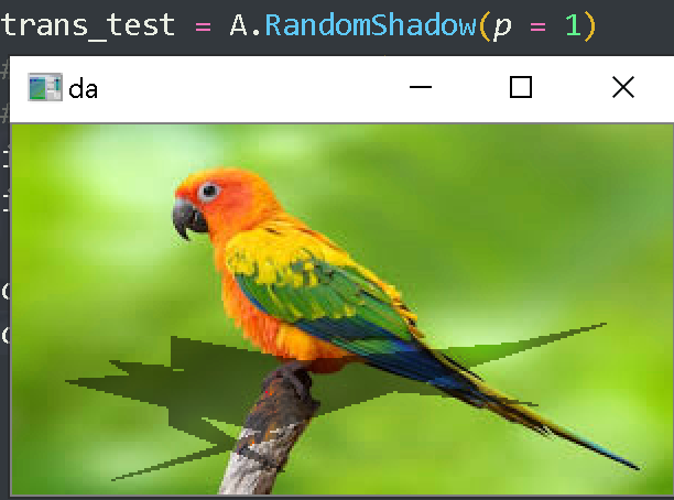 Albumentation使用指南-CSDN博客