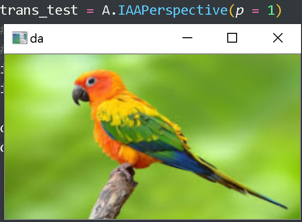 Albumentation使用指南-CSDN博客