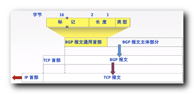 【计算机网络】网络层 Bgp 协议 Bgp 协议简介 Bgp 协议信息交换 Bgp 协议报文格式 Bgp 4 常用报文 Rip 、ospf、bgp 协议对比 Bgp 