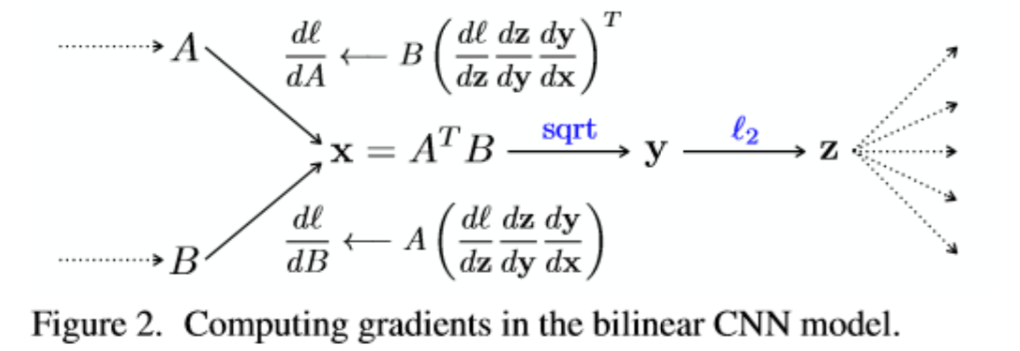 细粒度分析与Bilinear CNN model（附代码实现）-CSDN博客