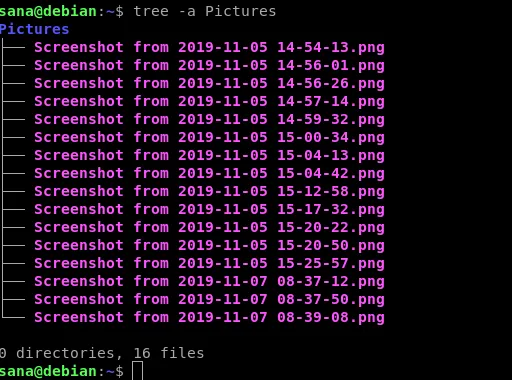 通过示例掌握Debian上的Tree命令使用方法_debian tree-CSDN博客