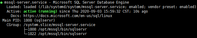 ubuntu上安装sqlserver2019_failed to start microsoft sql server database engi-CSDN博客
