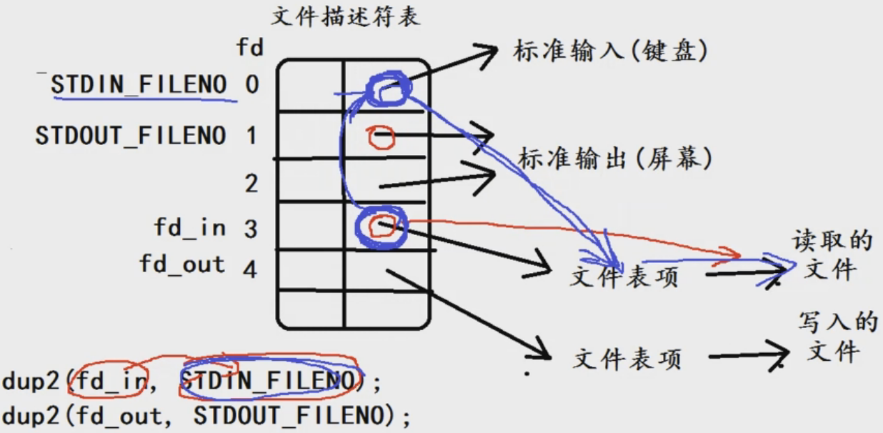 Linux程序设计：dup和dup2函数 Csdn博客 