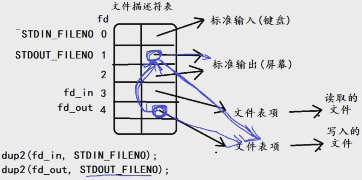 Linux程序设计：dup和dup2函数 Csdn博客 