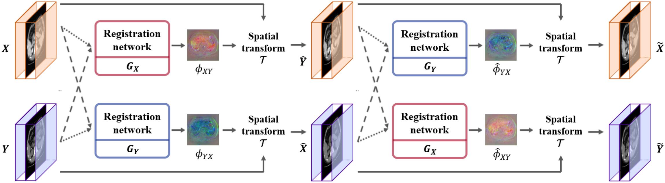【论文笔记】CycleMorph：使用循环一致性的2D/3D/多尺度微分同胚图像配准模型_cyclemorph: cycle consistent unsupervised deformab ...
