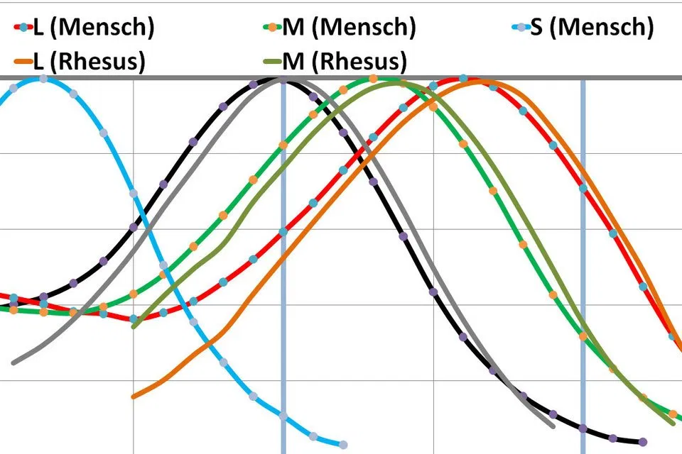 计算机视觉及色彩空间RGB,HSV,HLS,Lab,LMS,XYZ,CMYK_lms颜色空间-CSDN博客