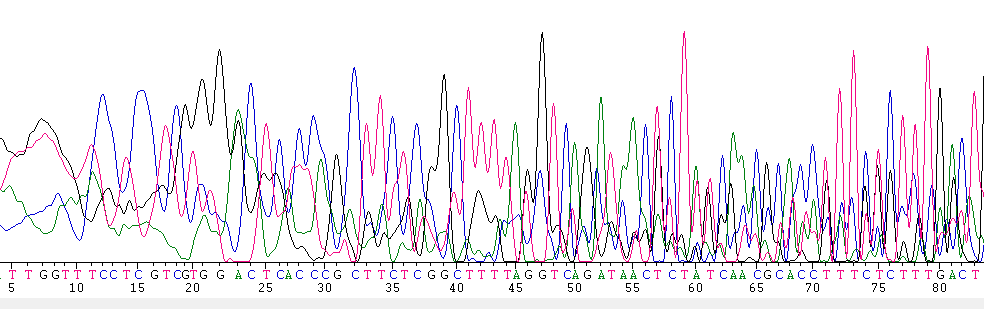 基因测序分析小经验_ab1文件怎么打开-CSDN博客
